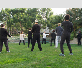 Be Like Water Taichi | Old Yang Style Tai Chi Chuan and Qigong